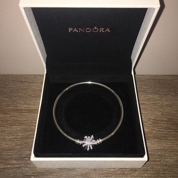 Pandora | Jewelry | Nwt 28 Limited Edition Pandora Bangle | Poshmark